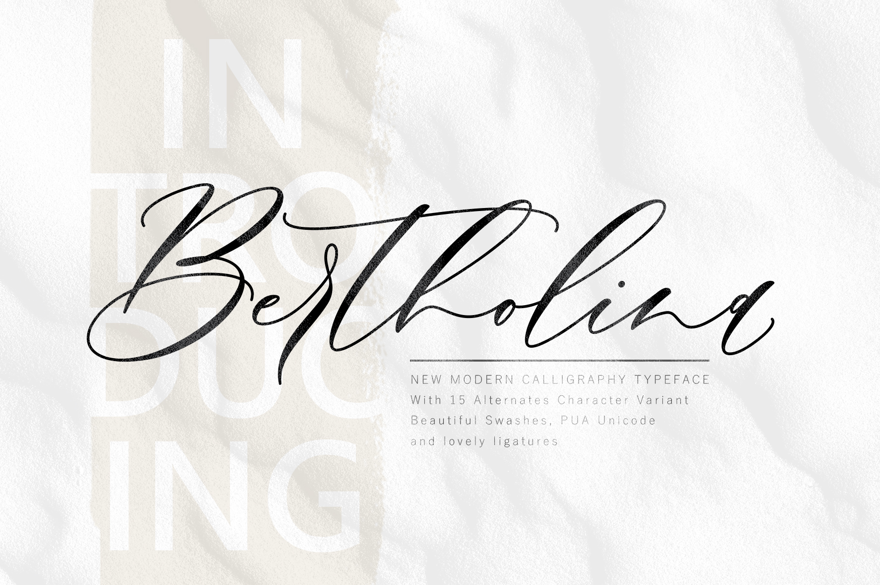 Bertholina, Fonts | GraphicRiver